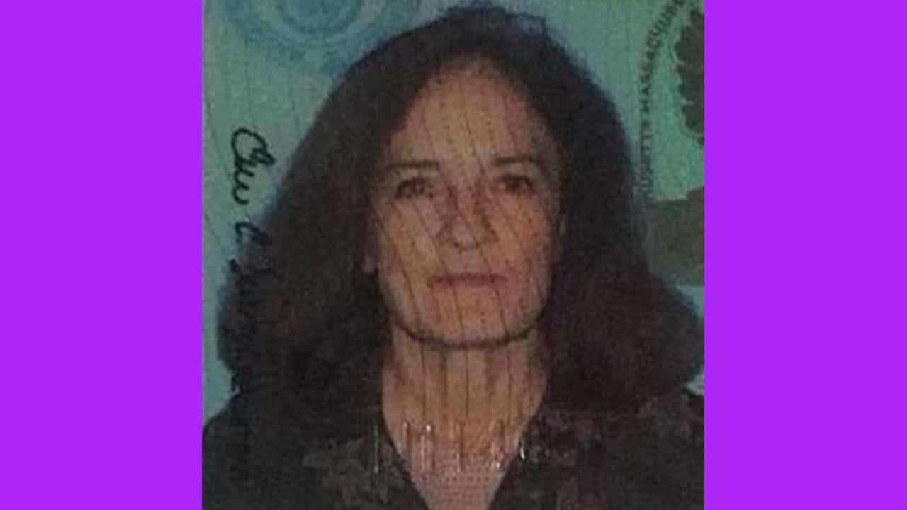 St Ann Man Charged in Connection with Murder of American National ...