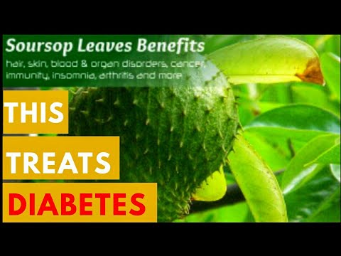 TOP 5 JAMAICAN BUSH TEAS AND THIER PURPOSE - McKoysNews