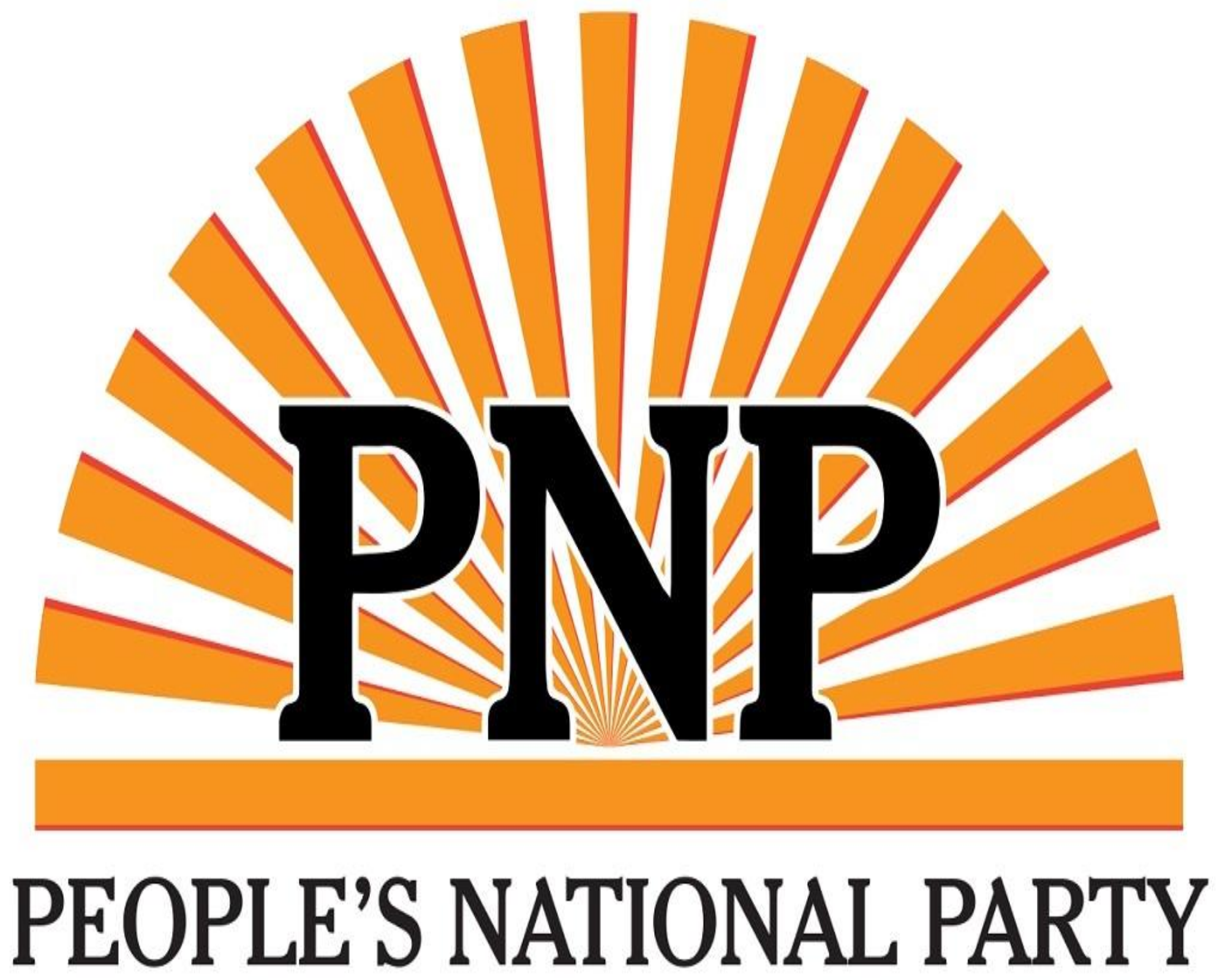 PNP Names Head Of Review Team - McKoysNews