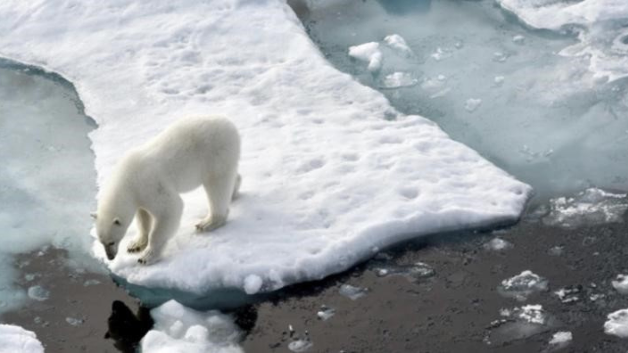 Cure Your Future - Urgent Climate Change Actions Needed. - McKoysNews