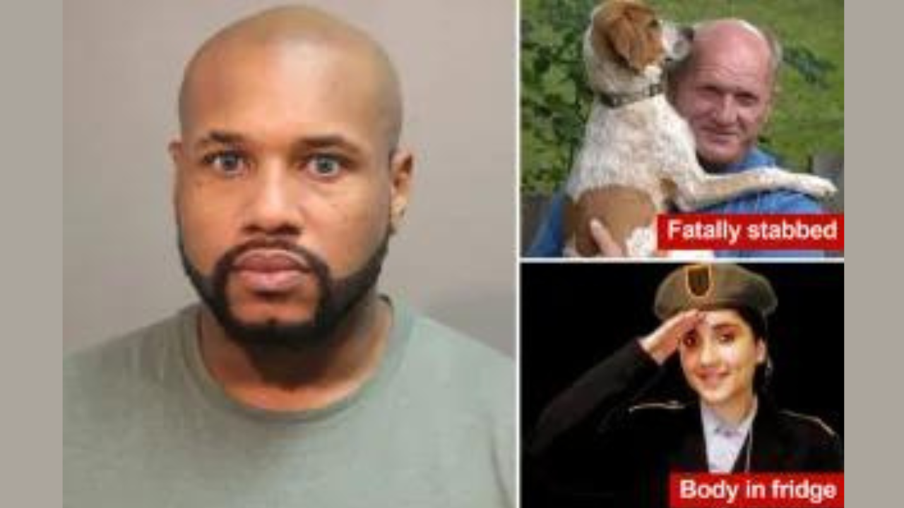 Chicago man arrested for stabbing HVAC worker; teen’s remains found in ...