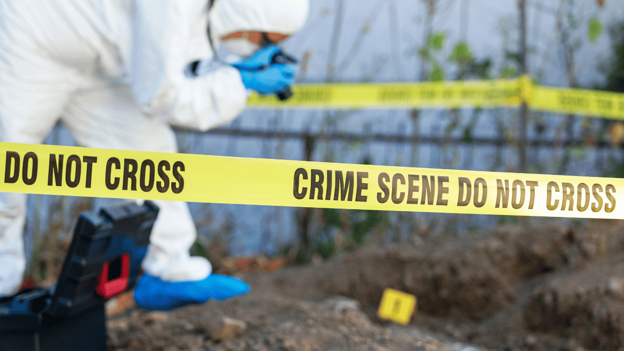 Skeletal Remains Found at Jackson Bay Beach in Clarendon - McKoysNews