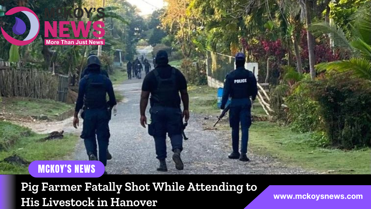 Pig Farmer Fatally Shot While Attending to His Livestock in Hanover ...