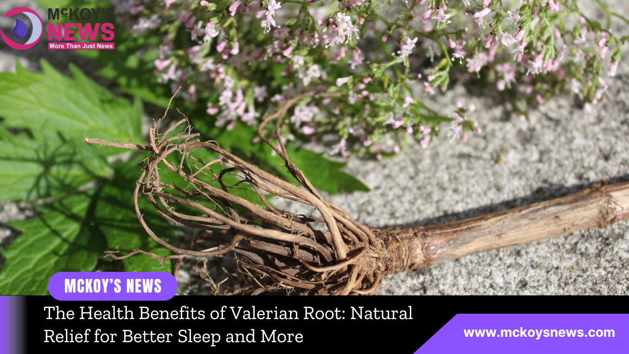 The Health Benefits of Valerian Root: Natural Relief for Better Sleep ...