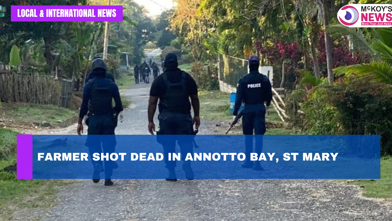61-Year-Old Farmer Shot Dead in Annotto Bay, St Mary - McKoysNews