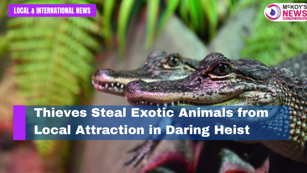 Thieves Steal Exotic Animals from Local Attraction in Daring Heist ...