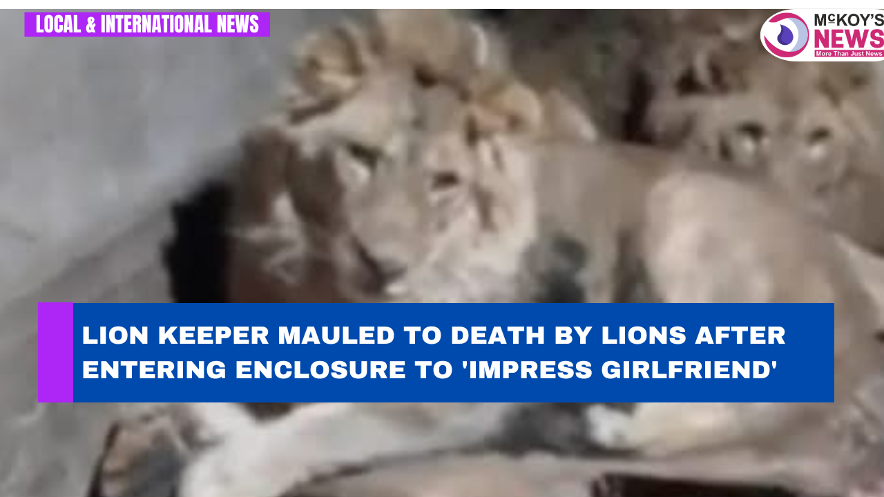Lion Keeper Mauled to Death by Lions After Entering Enclosure to ...