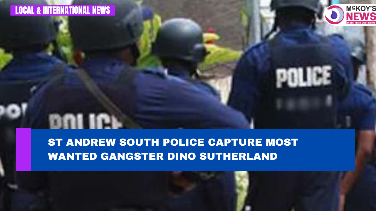 St Andrew South Police Capture Most Wanted Gangster Dino Sutherland ...