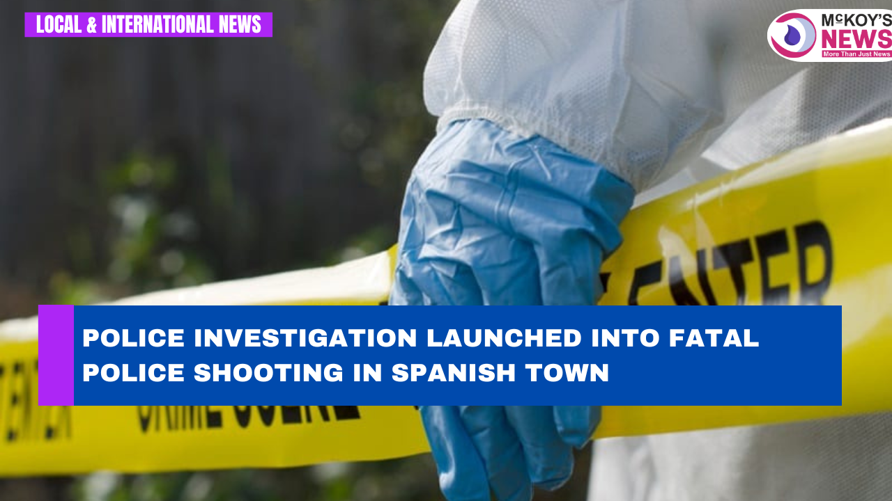 Investigation Launched into Fatal Police Shooting in Spanish Town ...
