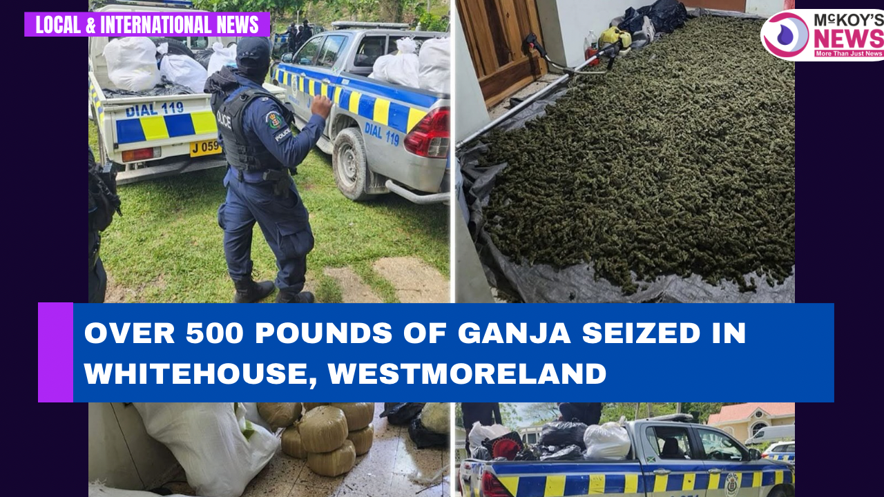 Over 500 Pounds of Ganja Seized in Whitehouse, Westmoreland - McKoysNews