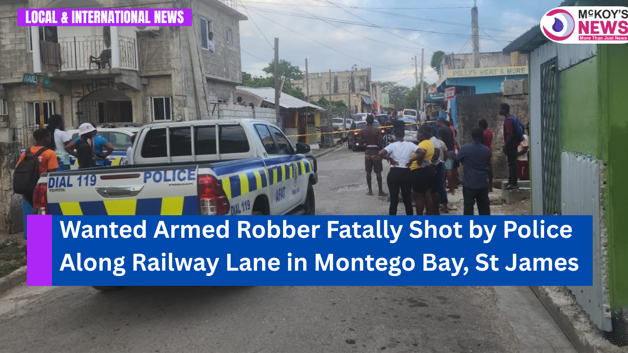 Wanted Armed Robber Fatally Shot by Police Along Railway Lane in ...