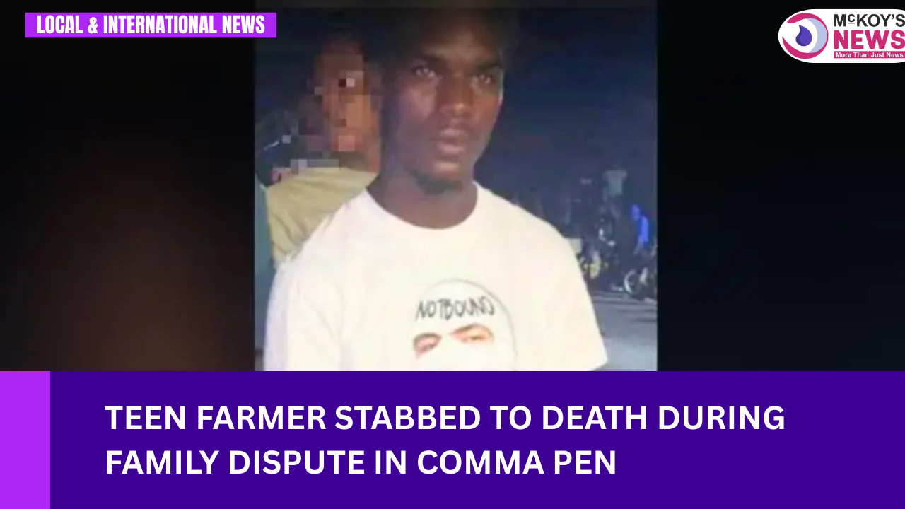 Teen Stabbed to Death During Family Dispute in Comma Pen, St Elizabeth ...