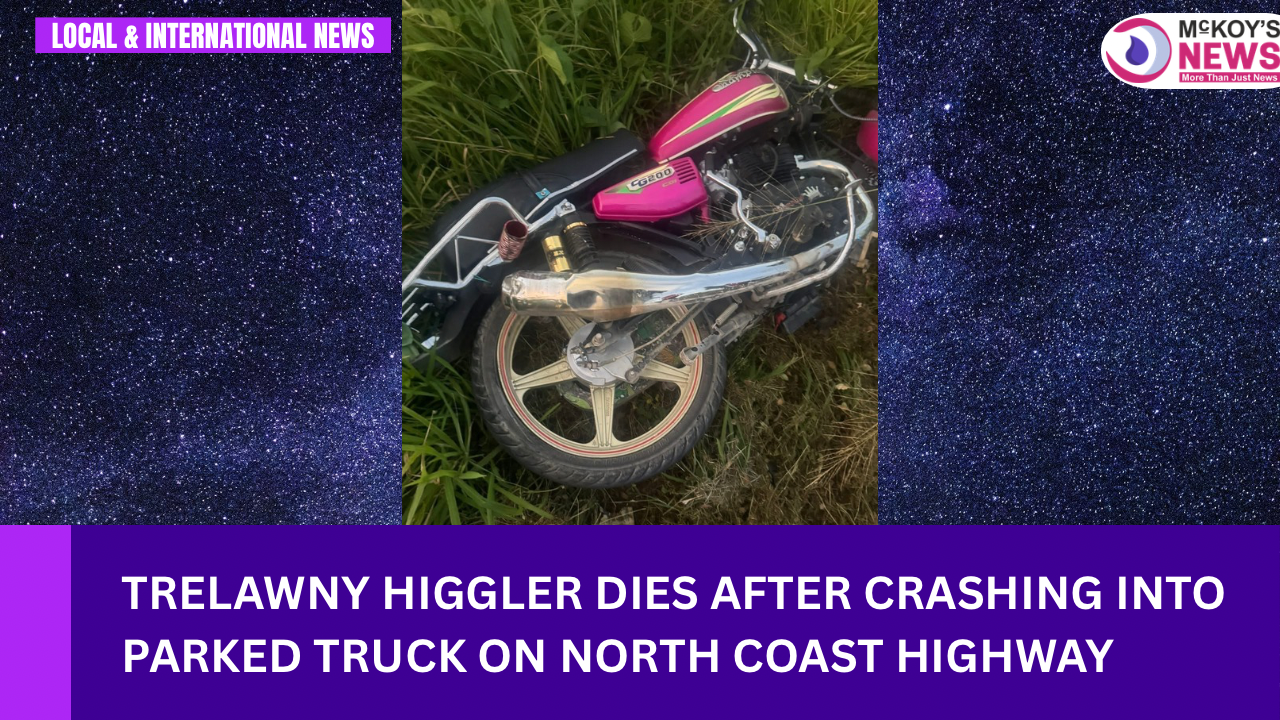 Trelawny Higgler Dies After Crashing Into Parked Truck on North Coast ...