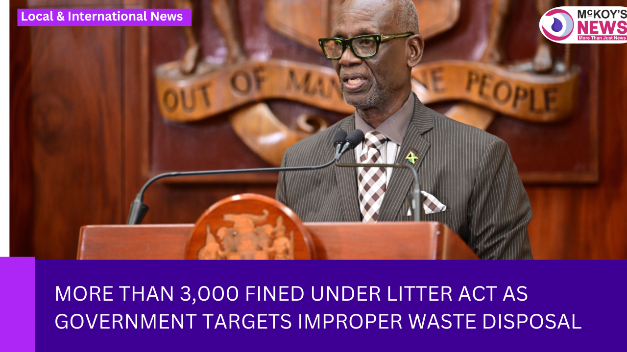 More Than 3,000 Fined Under Litter Act as Government Targets Improper ...
